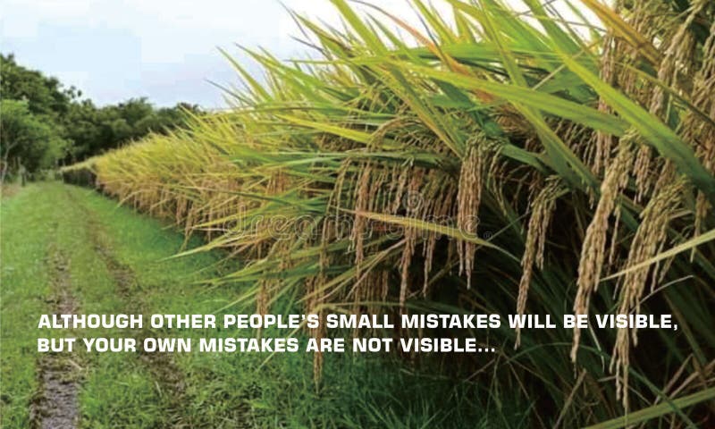 Positive Quote If we Do Mistake Stock Image - Image of natural, mistake ...