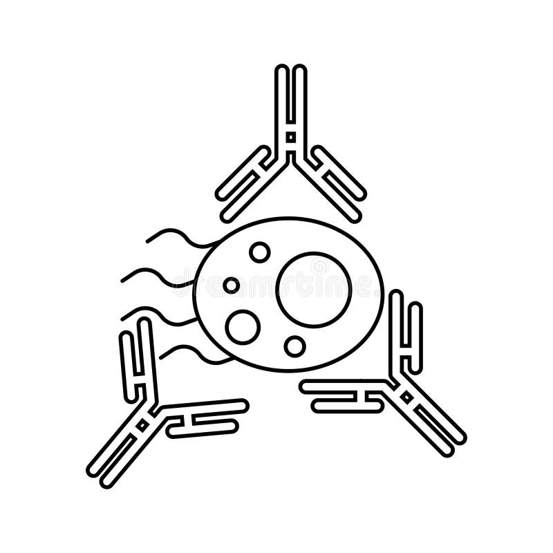 Antibody Against Bacteria Infection, Immune System Concept Icon Vector ...