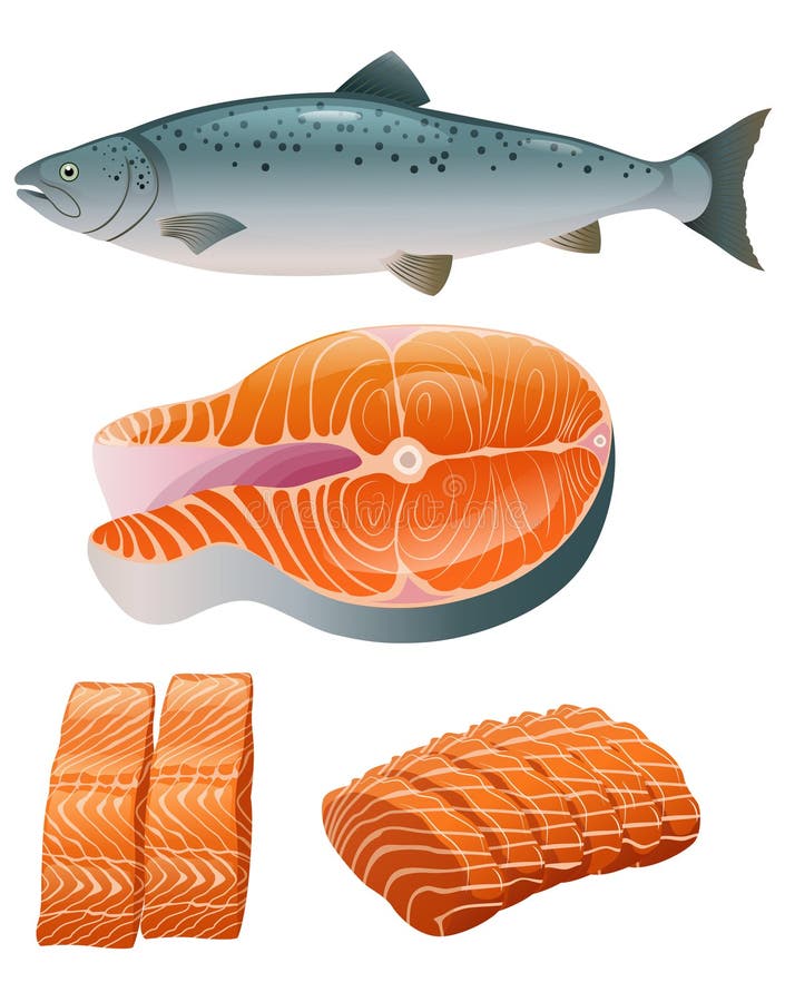 Set Salmon Illustration. Fillet, Steak and Fish Salmon in Cartoon Style ...