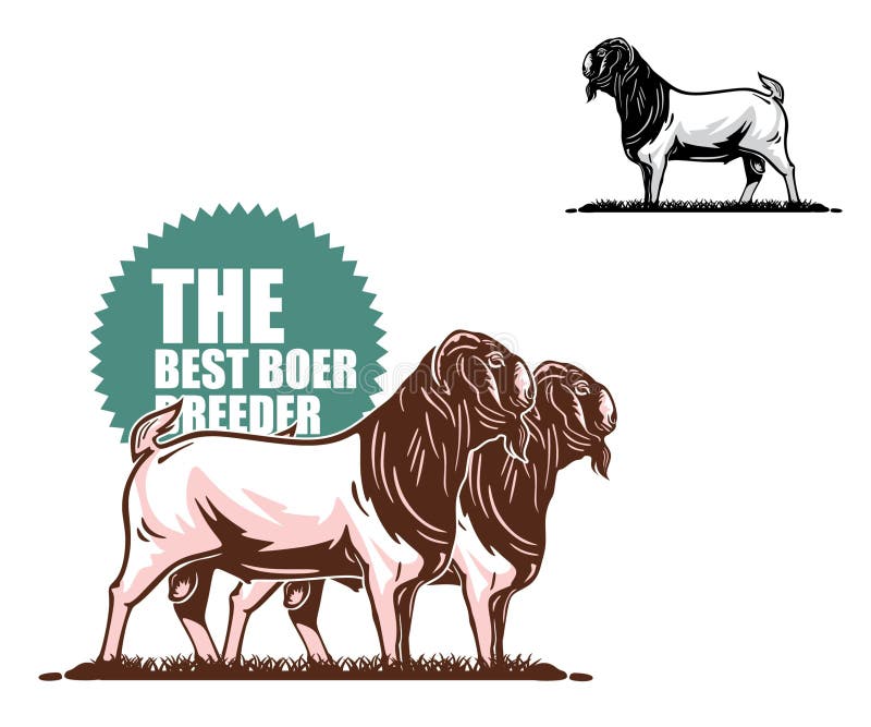 GREAT BIG BOER GOAT on the ROCK LOGO Stock Illustration - Illustration ...