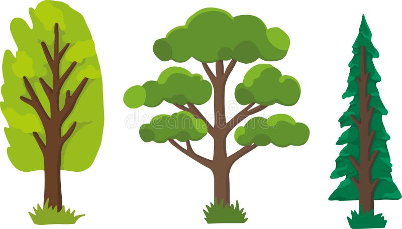 Conifertree Stock Illustrations – 1 Conifertree Stock Illustrations ...