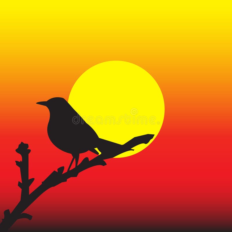 Bird Silhouette with Sunset, Sunset Background, Beautiful Afternoon ...