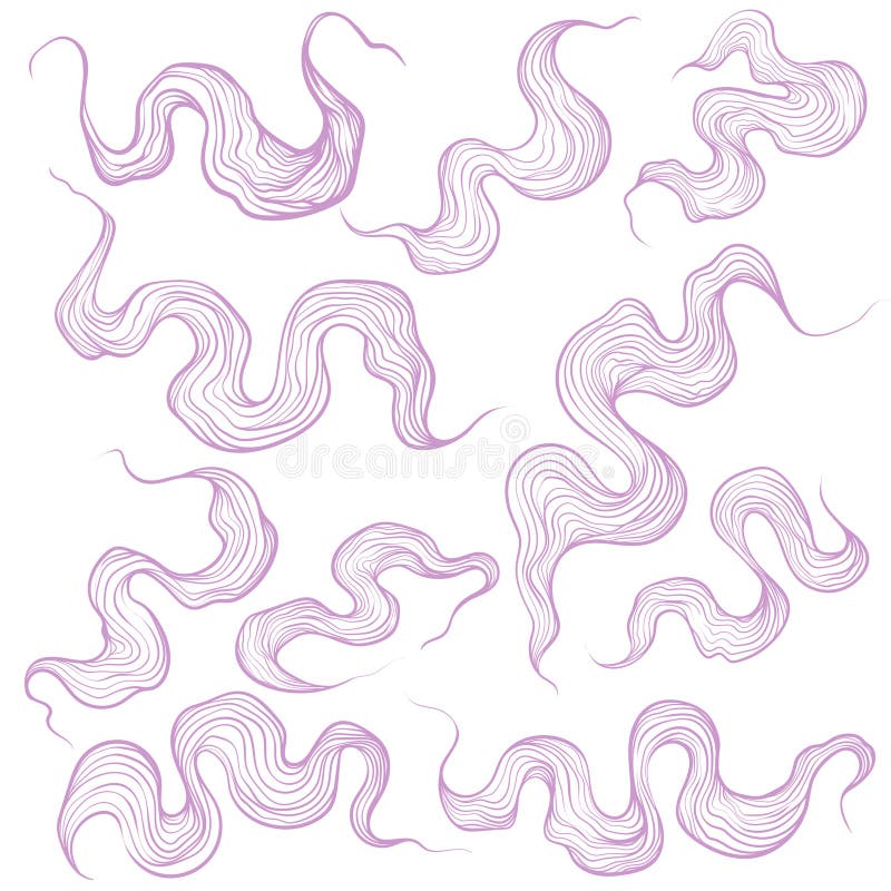 Set of Abstract Wavy Lines Element Stock Vector - Illustration of ...