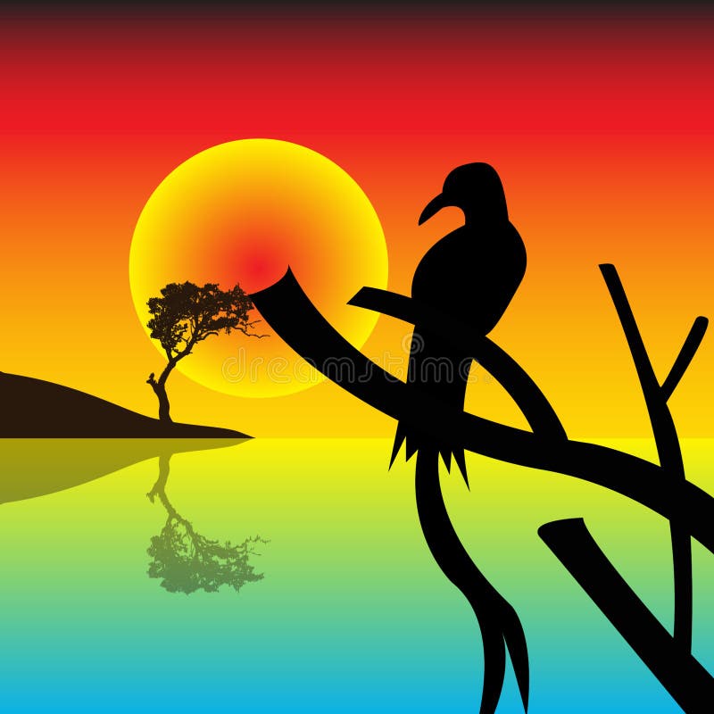 Bird Silhouette with Sunset, Sunset Background, Beautiful Afternoon ...
