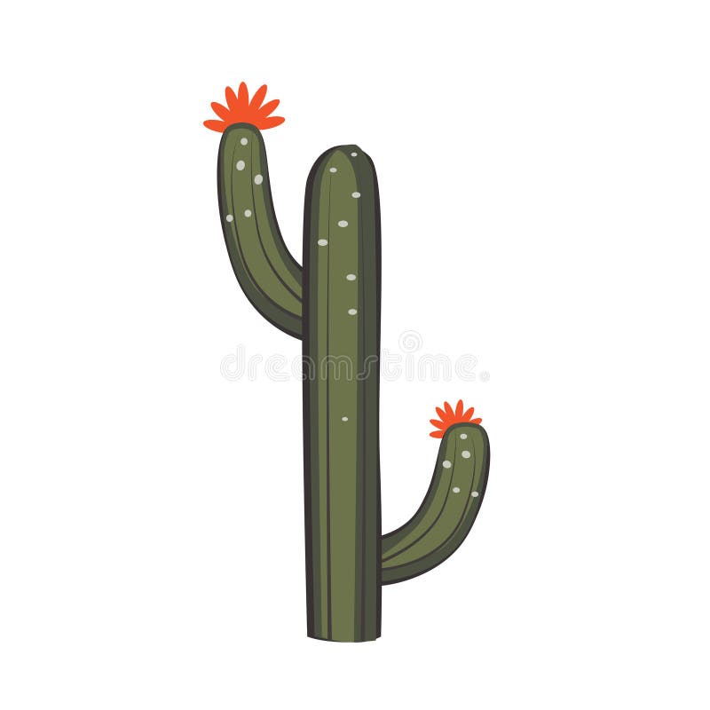 Cacti Plant Vector Image, Cactus Tree Illustration Stock Vector ...
