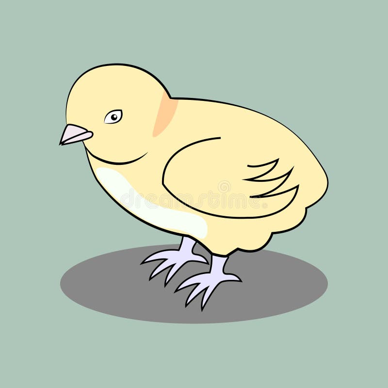 Cute Chick Illustration. Cartoon Stock Vector - Illustration of nature ...