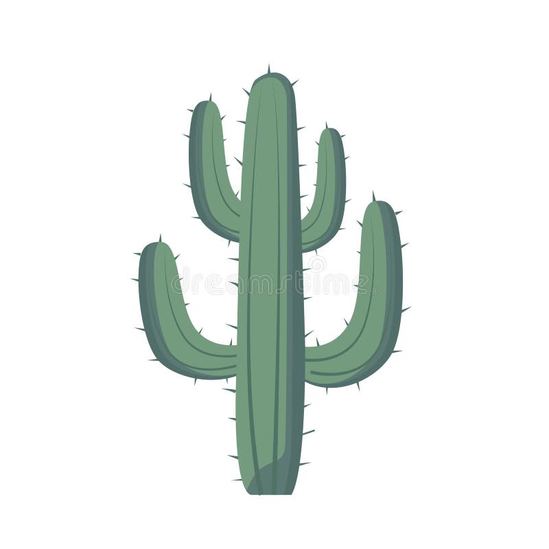 Cactus Tree Cartoon Illustration, Cacti Desert Plant Isolated, Flat ...
