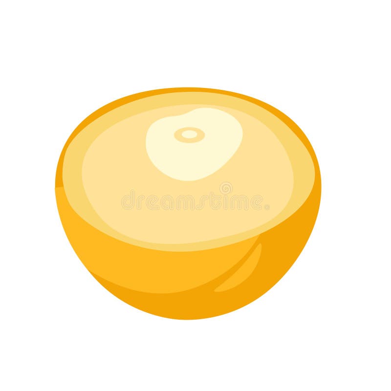Yellow Coconut Palm Fruit Vector Illustration, Flat Icon Isolated on ...