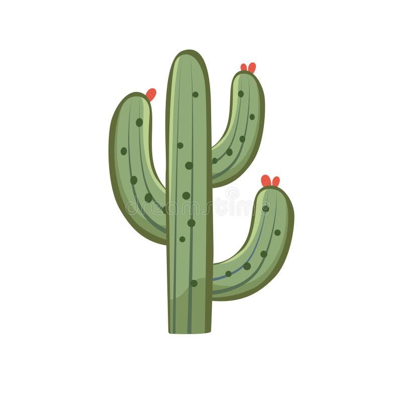 Cactus Tree Cartoon Illustration, Cacti Desert Plant Isolated, Flat ...
