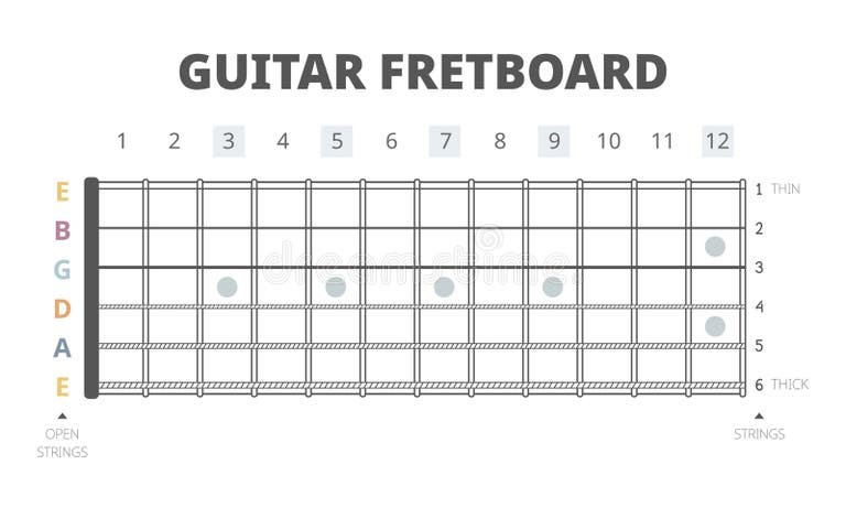 Guitar Fretboard Chart Vector Illustration. Guitar Neck Map with Frets ...