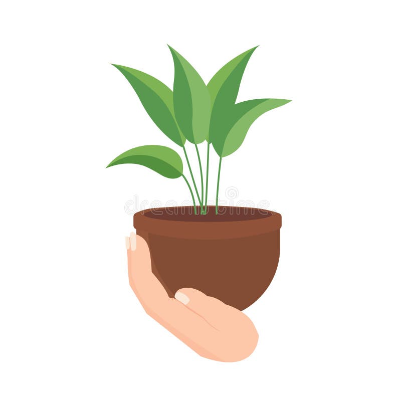 Human Hand Holding Young Plant, Hand Carrying Green Seeding Plant Stock ...