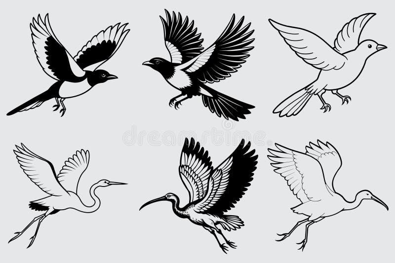 Print 6 Flying Birds Vector Illustration: Captivating and Versatile ...