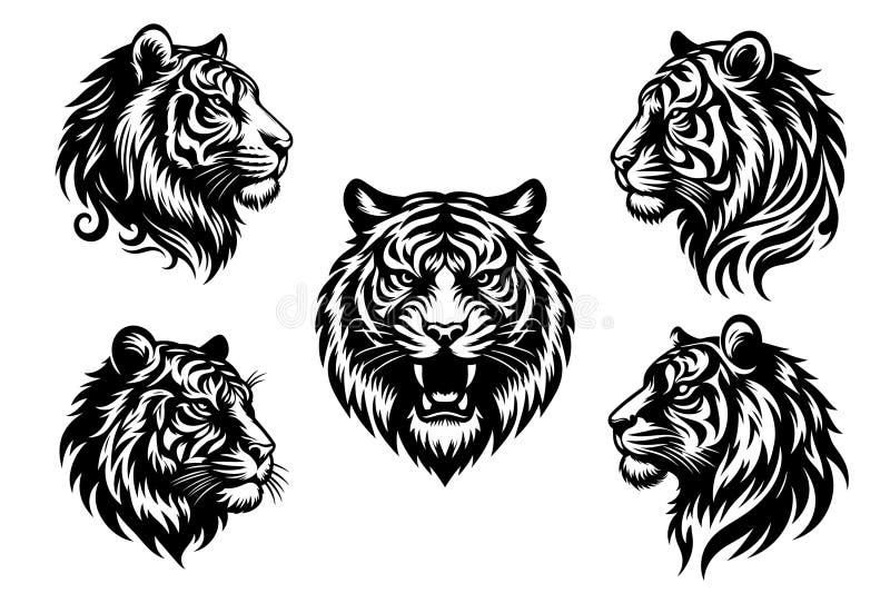 Tiger Head Vector, Tiger Head Vector Illustration Stock Vector ...