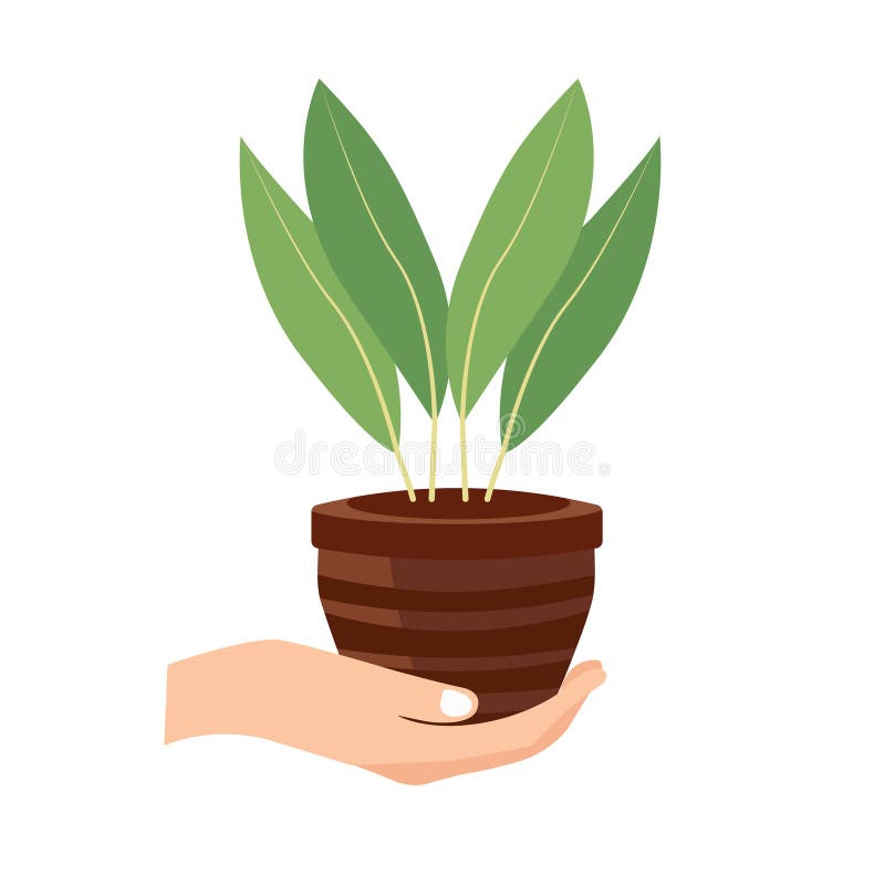 Hand Carrying Tree Seeds Vector Illustration, Hand Holding Small Plant ...