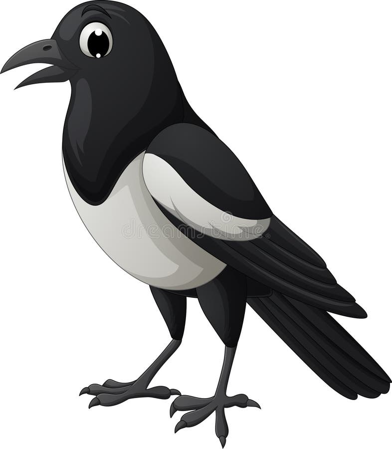 Cartoon Magpie Stock Illustrations – 1,487 Cartoon Magpie Stock ...