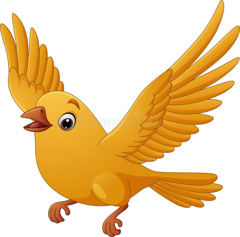 Tigatelu - Photographer profile