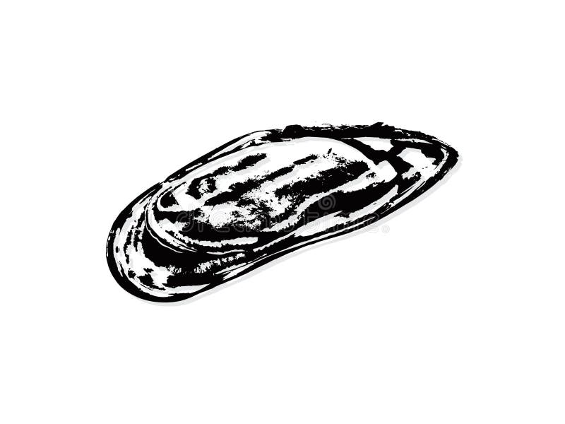 Mussel Drawing Stock Illustrations – 3,161 Mussel Drawing Stock ...