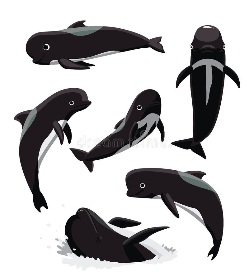 Cute Pilot Whale Poses Set Cartoon Vector Stock Vector - Illustration ...
