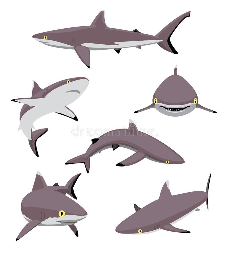 Cute Grey Reef Shark Poses Set Cartoon Vector Stock Vector ...