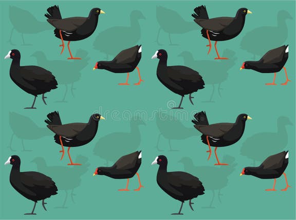 Bird Coot Nativehen Moorhen Cartoon Cute Seamless Wallpaper Background ...