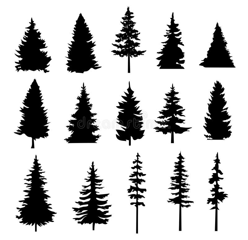 Vector Forest Trees Bundle stock vector. Illustration of decorative ...
