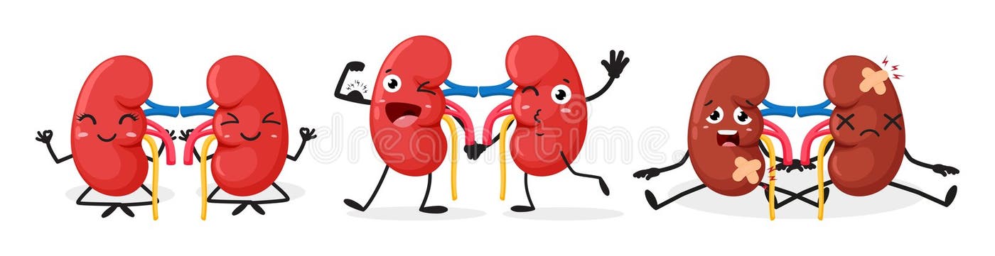 Kidney Disease Cartoon Stock Illustrations – 2,312 Kidney Disease ...