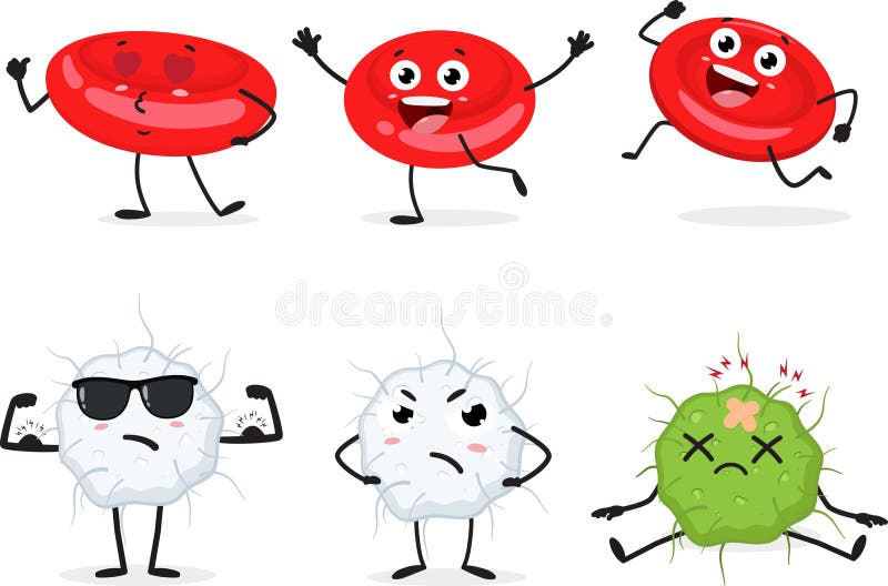 Red Blood Cell Cartoon Animation Red Blood Cell Animation 3D Medical