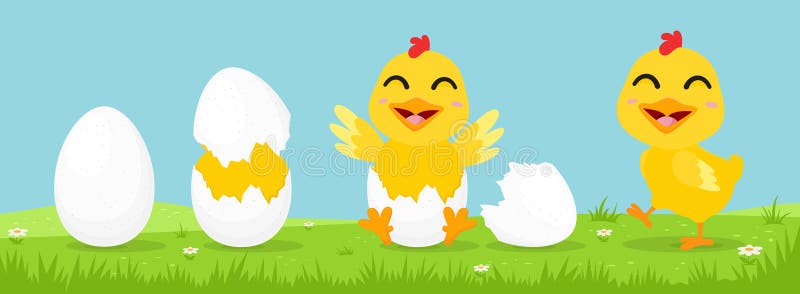Cartoon Process Baby Chicken Hatching from the Egg Stock Vector ...