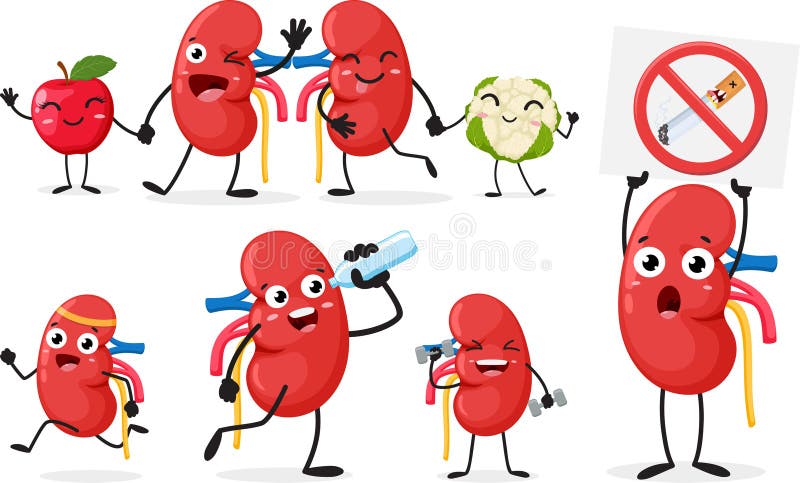 Doodle Kidney Cartoon Character, with Different Healthy Activities ...