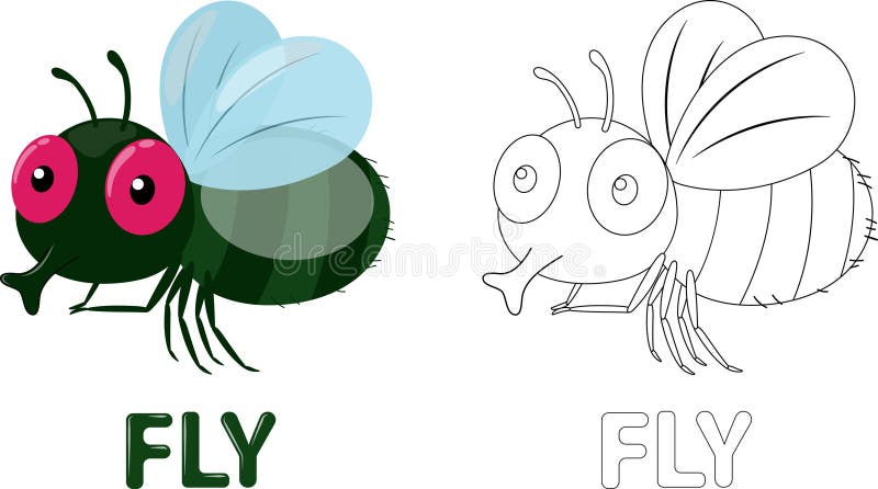Cute Fly Cartoon Coloring Book, Hand Drawn Simple Lines Stock ...