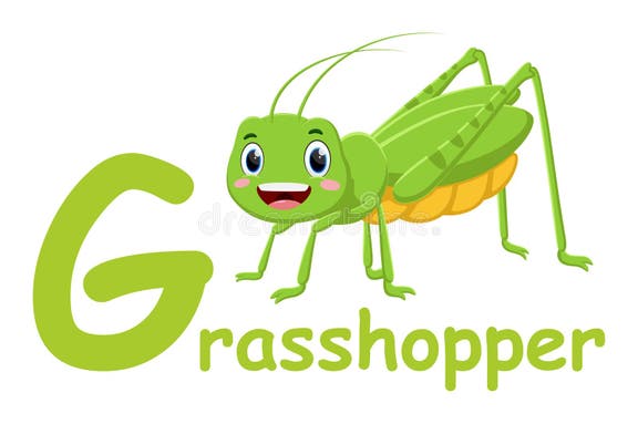 Cute Font Alphabet G for Grasshopper Cartoon Characters Stock Vector ...