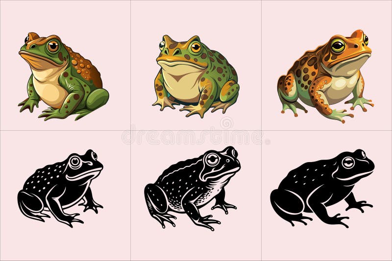 Print Vibrant Frog Vector Illustration - High-Quality Designs Stock ...