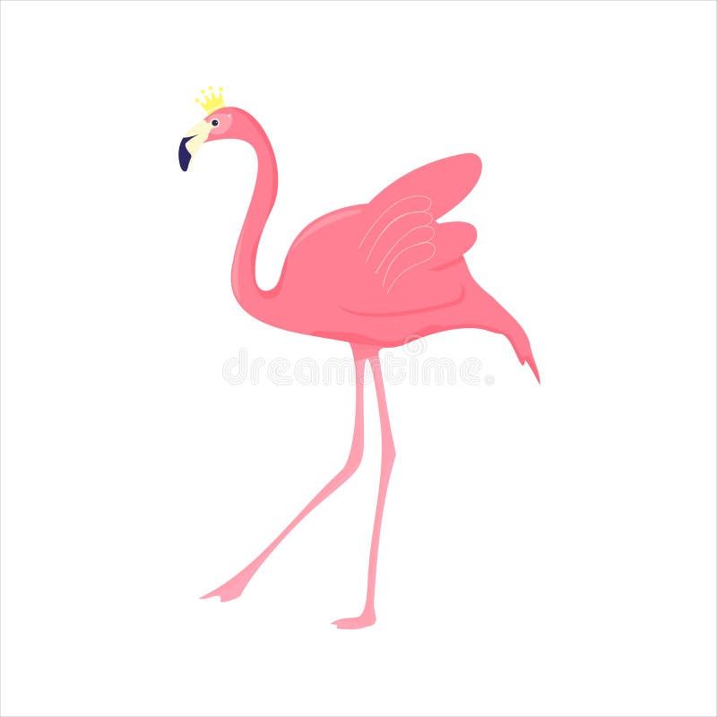 Cute Flamingo Vector Illustration on White Background. Stock Vector ...