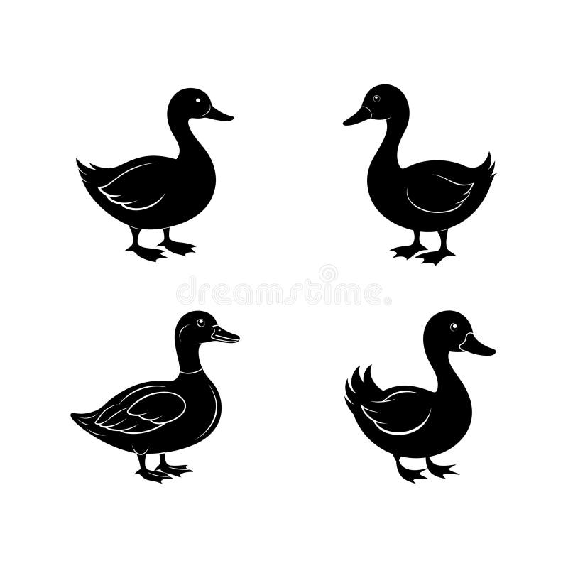 Silhouettes of Wild and Domestic Duck Vector Illustration. Stock Vector ...