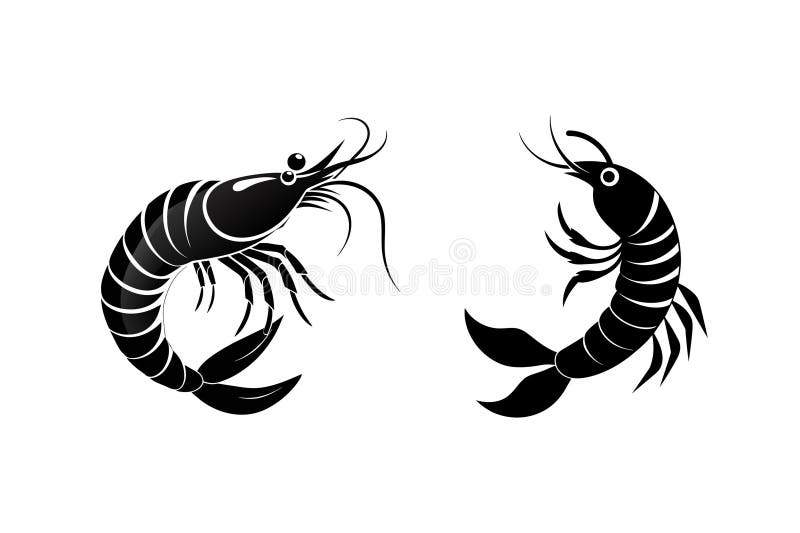 Shrimp Fish Vector Art Illustration Stock Vector - Illustration of ...