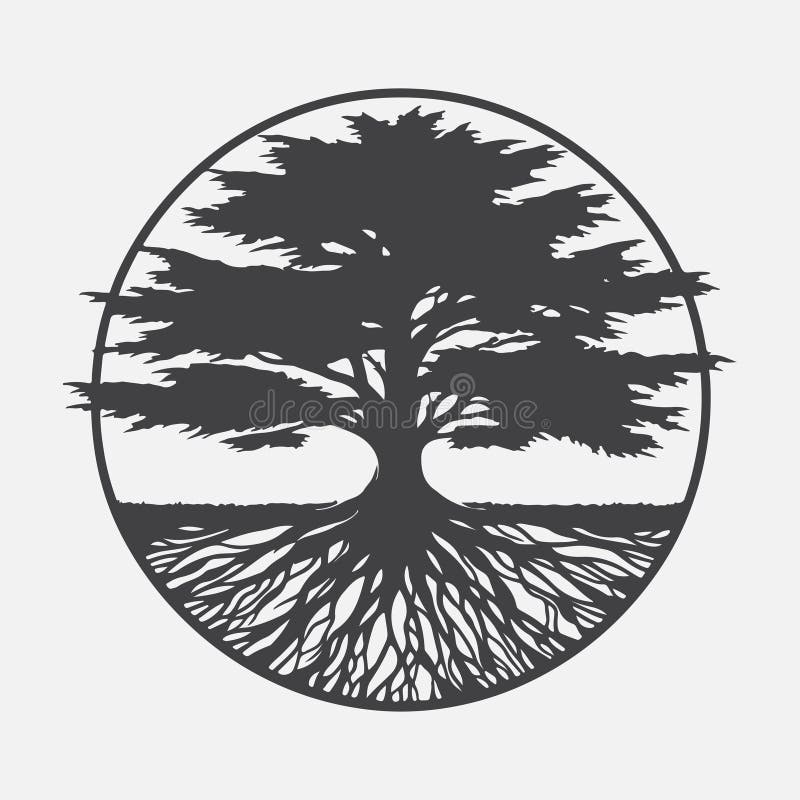 Majestic Yew Tree Silhouette: Nature S Timeless Shadow Stock Vector ...