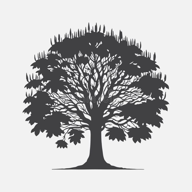 Majestic Chestnut Tree Silhouette: a Timeless Natural Beauty Stock ...