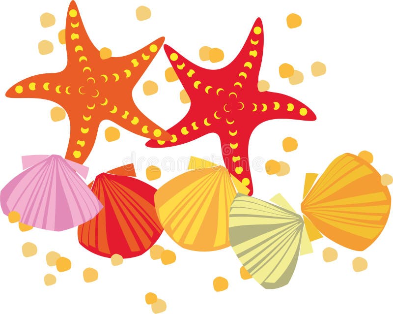 Vector Illustration of Colorful Sea Shells and Starfish. Stock ...