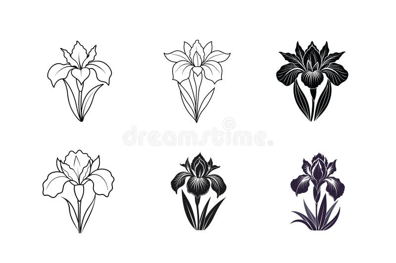 Black Tree Flower Illustrator Victor File- Stock Vector - Illustration ...