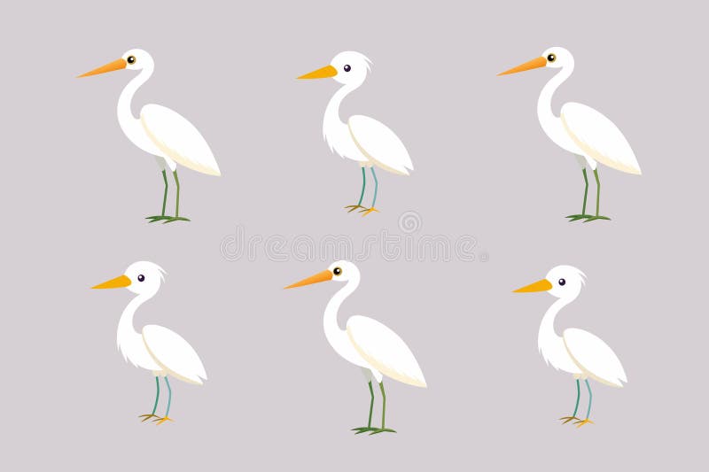Cute Bird Egret Vector Image Files Illustration Stock Vector ...