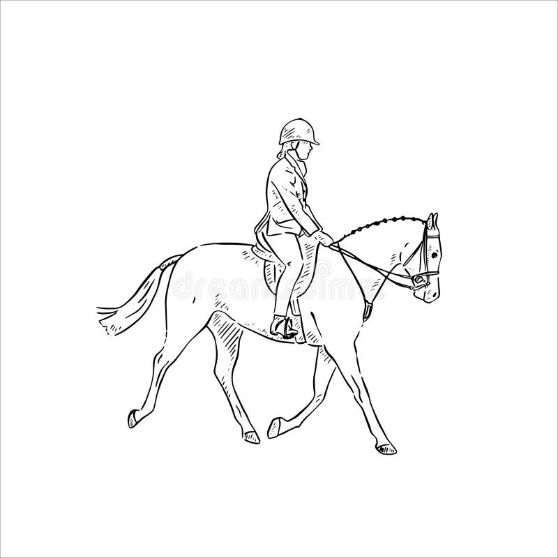 Horse Riding illustration stock vector. Illustration of white - 321902556