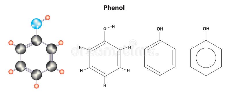 Phenol stock vector. Illustration of skeletal, coenzyme - 321926124