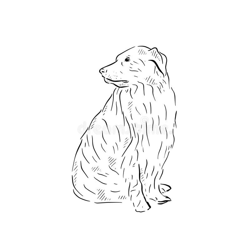 Sheep Dog Stock Illustrations – 11,800 Sheep Dog Stock Illustrations ...