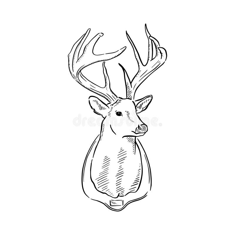 Stag Illustration in Black and White Stock Vector - Illustration of ...