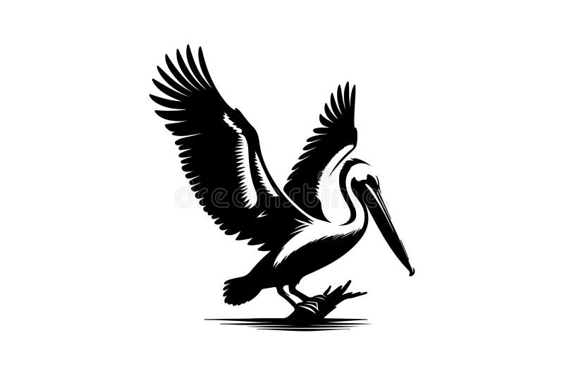 Pelican Vector Stock Illustrations – 5,465 Pelican Vector Stock ...