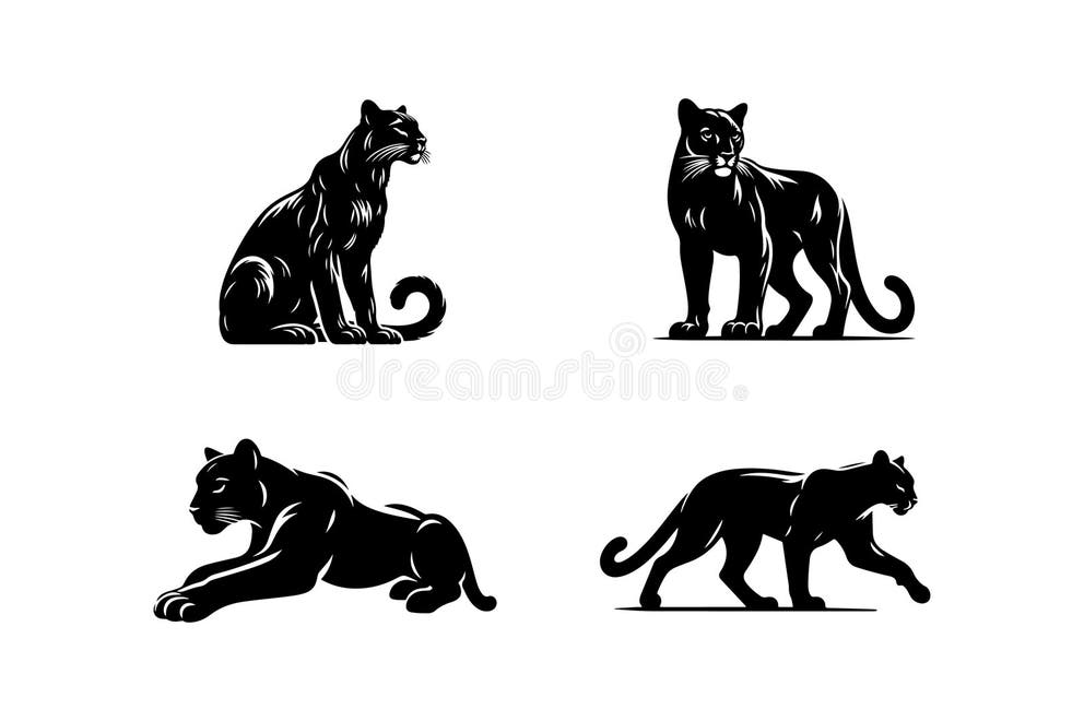 Puma Vector Art and Illustration Stock Vector - Illustration of poster ...