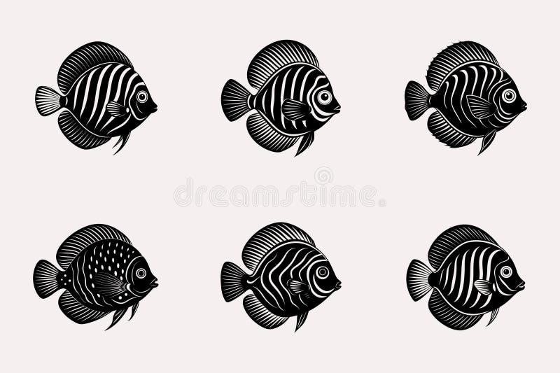 A discus fish is art stock vector. Illustration of behavior - 322219264