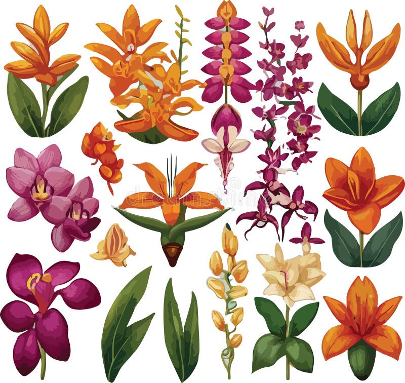 Print EXOTIC FLOWERS in VIBRANT COLOURS - ORCHIDS, LOTUS, BIRD of ...