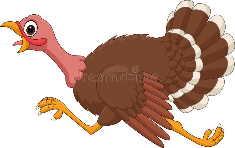 Illustration of Cartoon Turkey Running Stock Vector - Illustration of ...