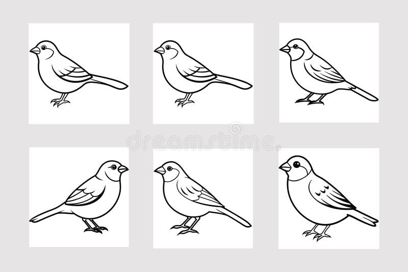Illustrate a Pair of Sparrows: Vector Art Design. Stock Illustration ...